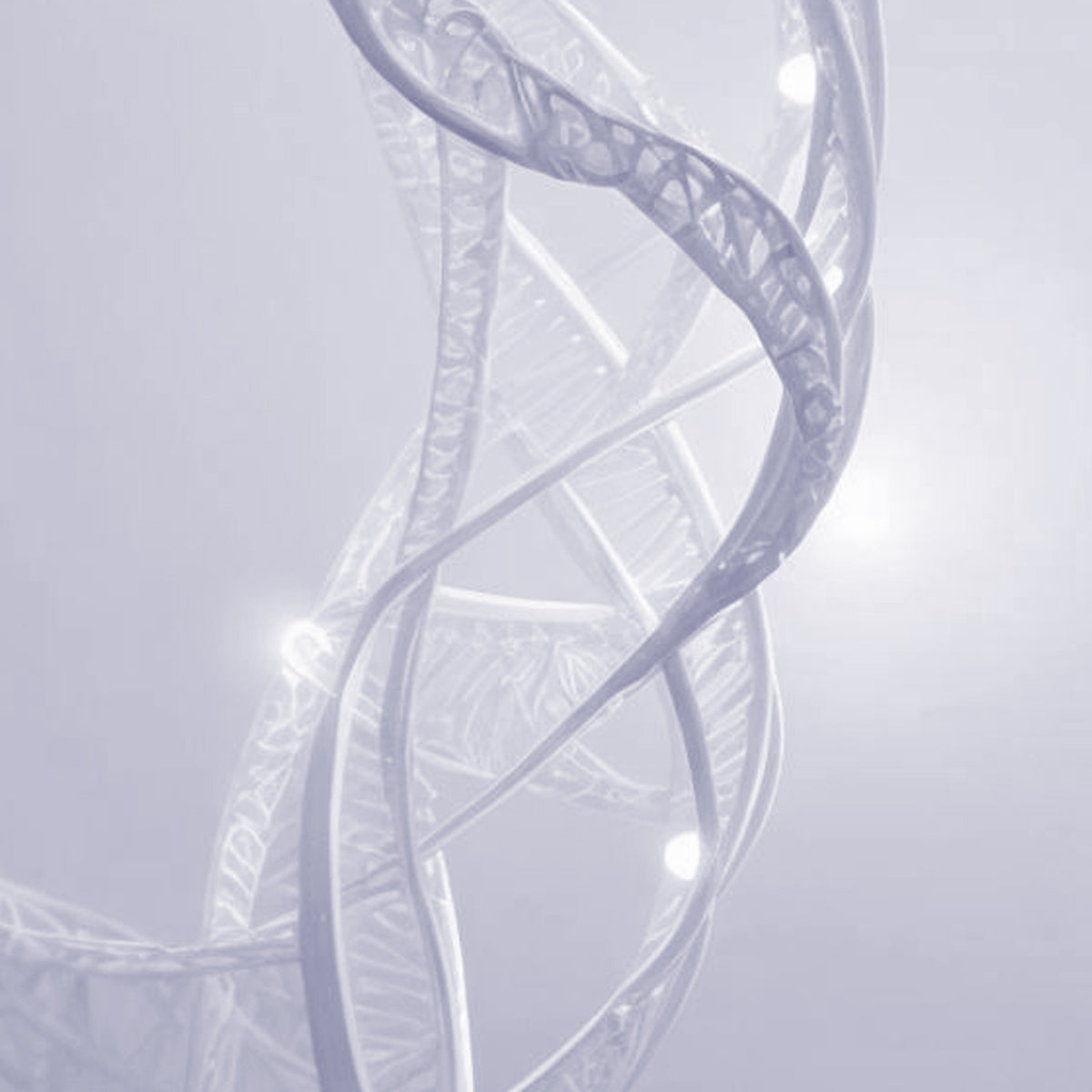 Clean Beauty – Moritek Beauty