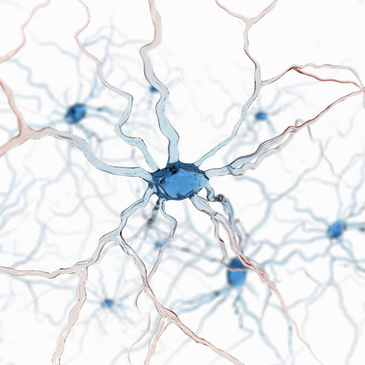 Clean Beauty – Moritek Beauty